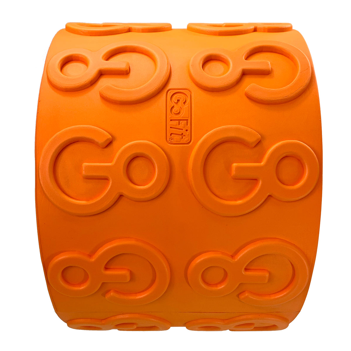 GoWheel (12-inch) – GoFit.net